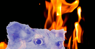 Topic: Happy thread – Minichan