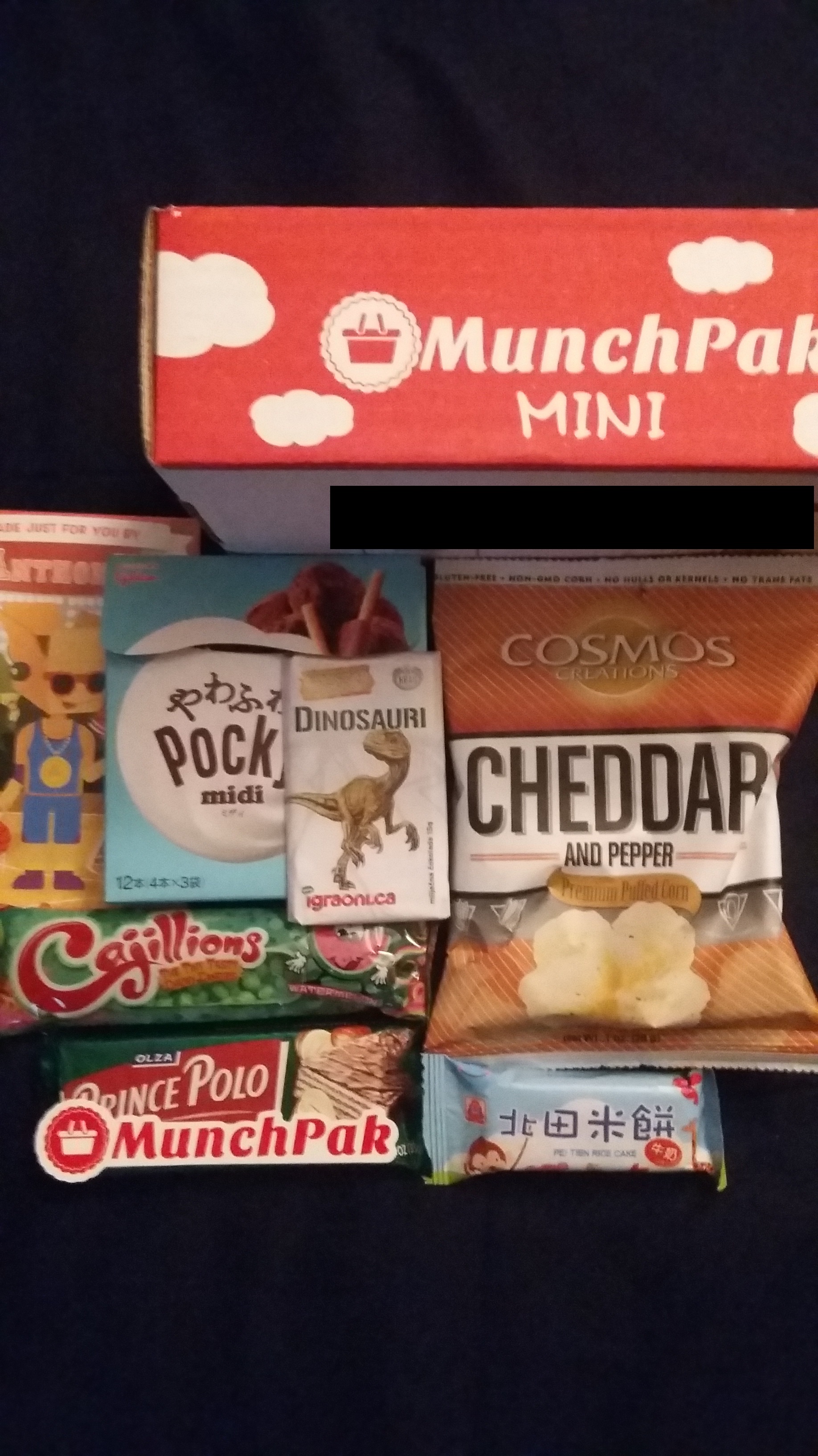 Topic: I have officially released my first mystery box ever, fora! – Minichan