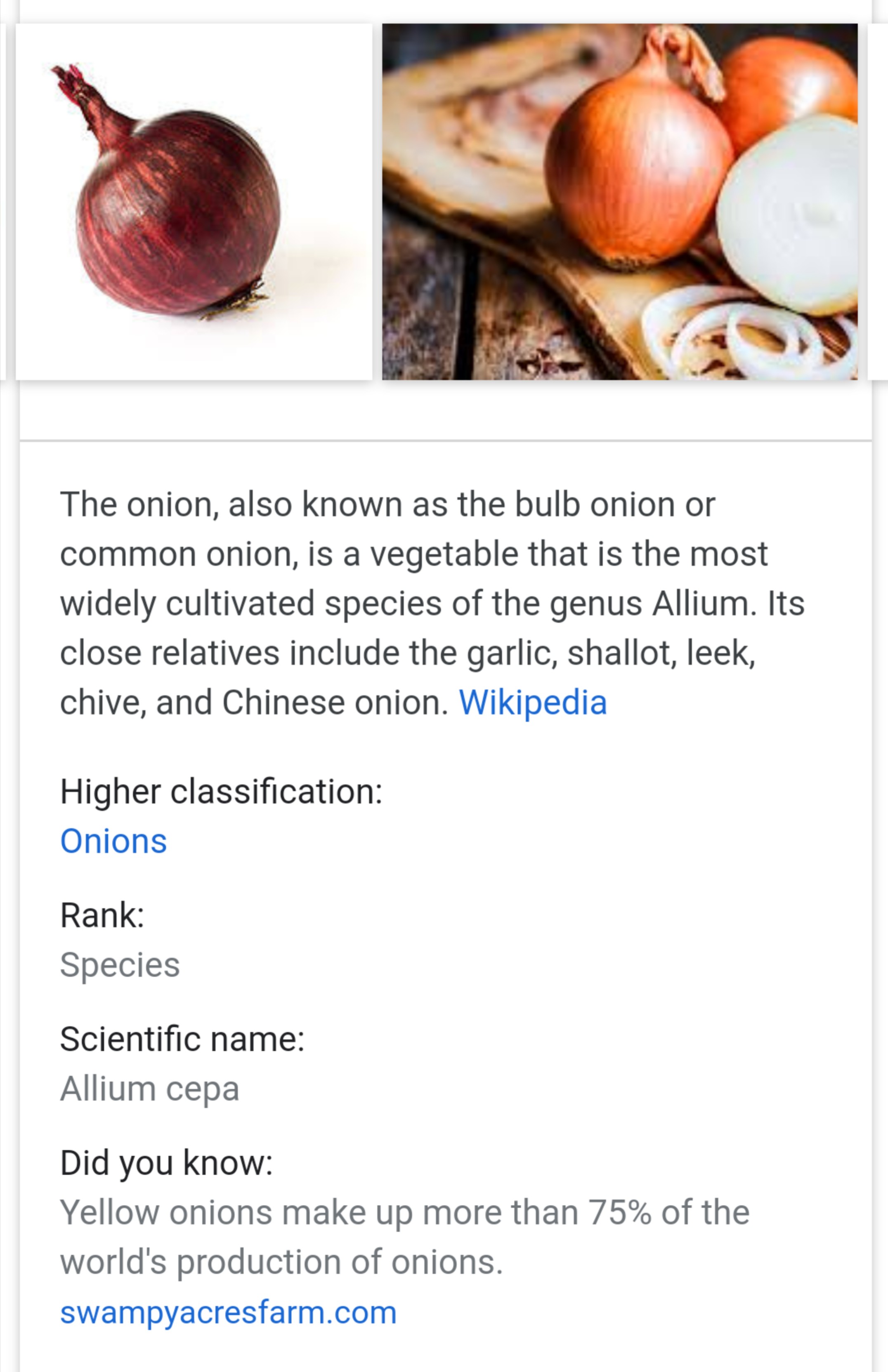Topic: Vegetable of the Day Megathread – Minichan