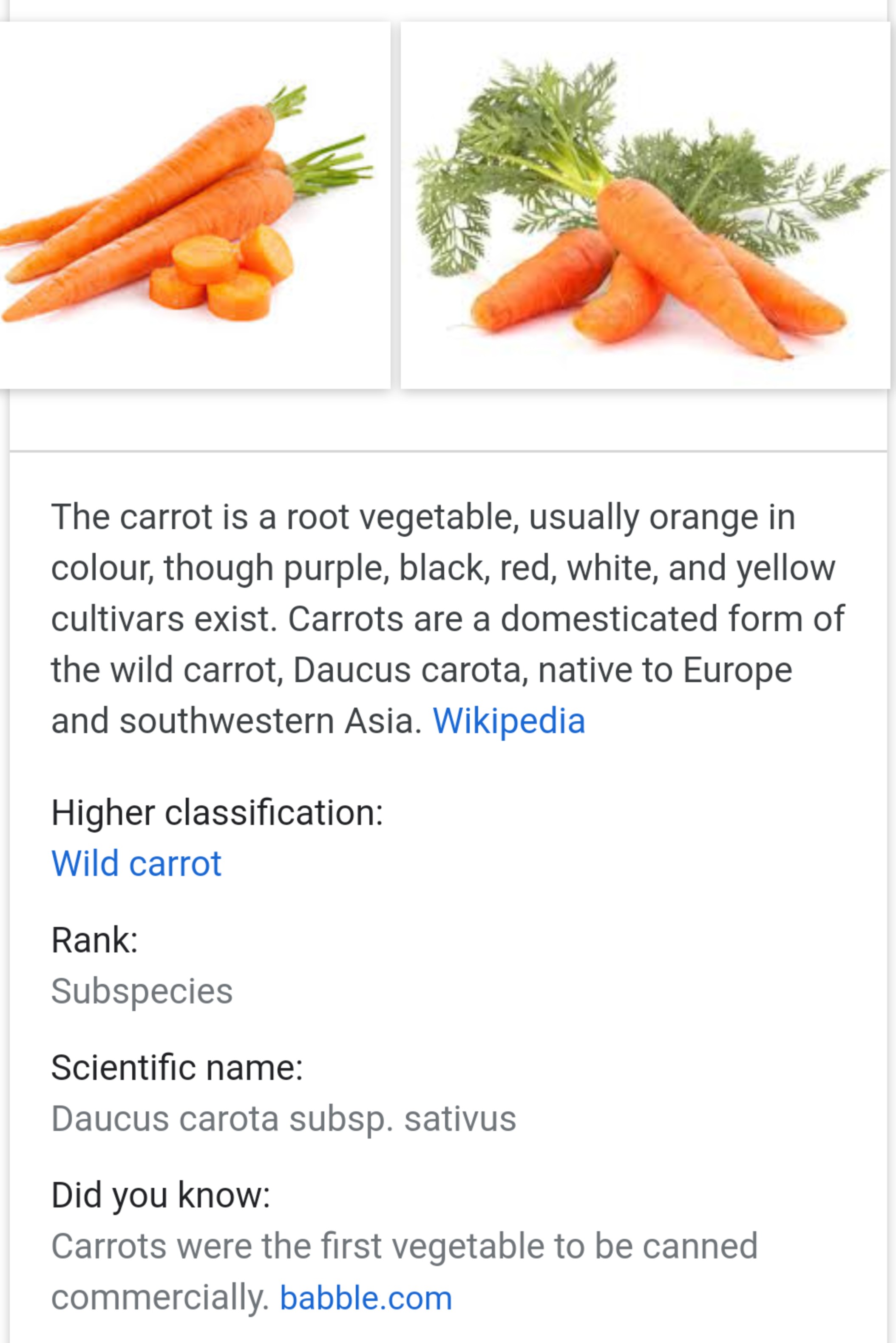 Topic: Vegetable of the Day Megathread – Minichan